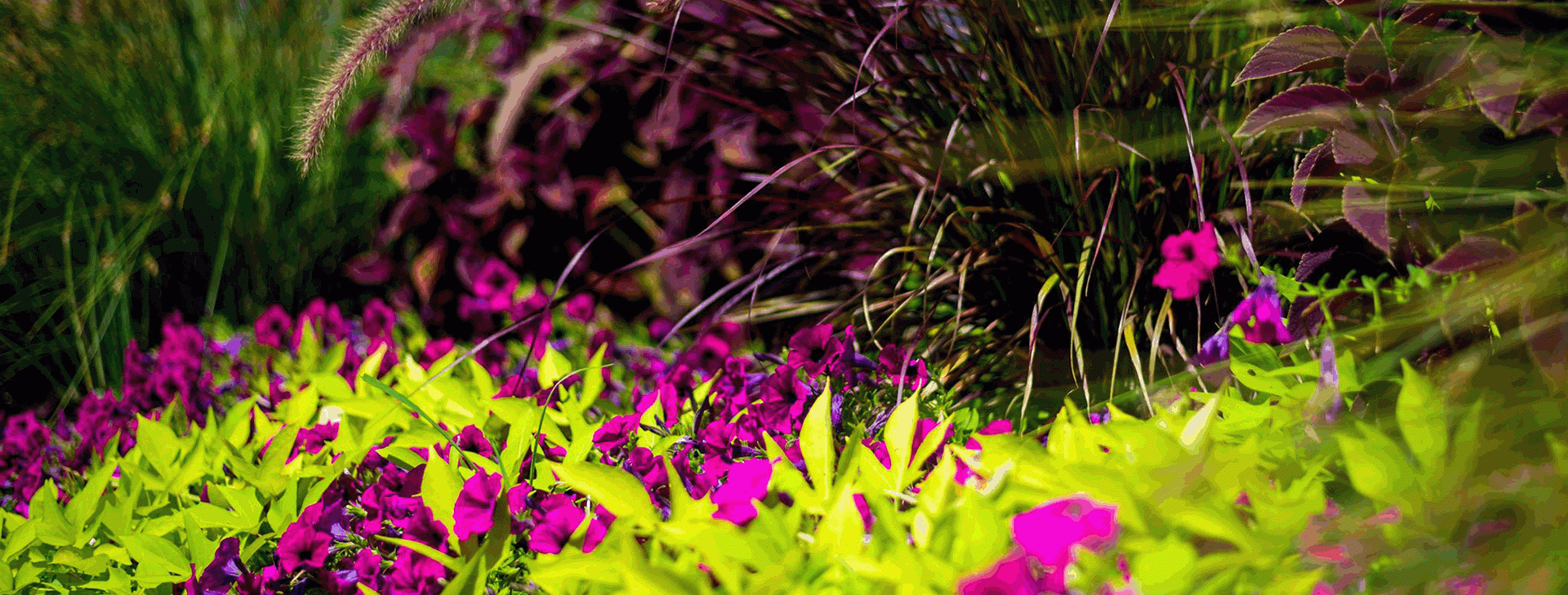 The Yard Works Landscaping Inc – Providing Exceptional Landscaping ...